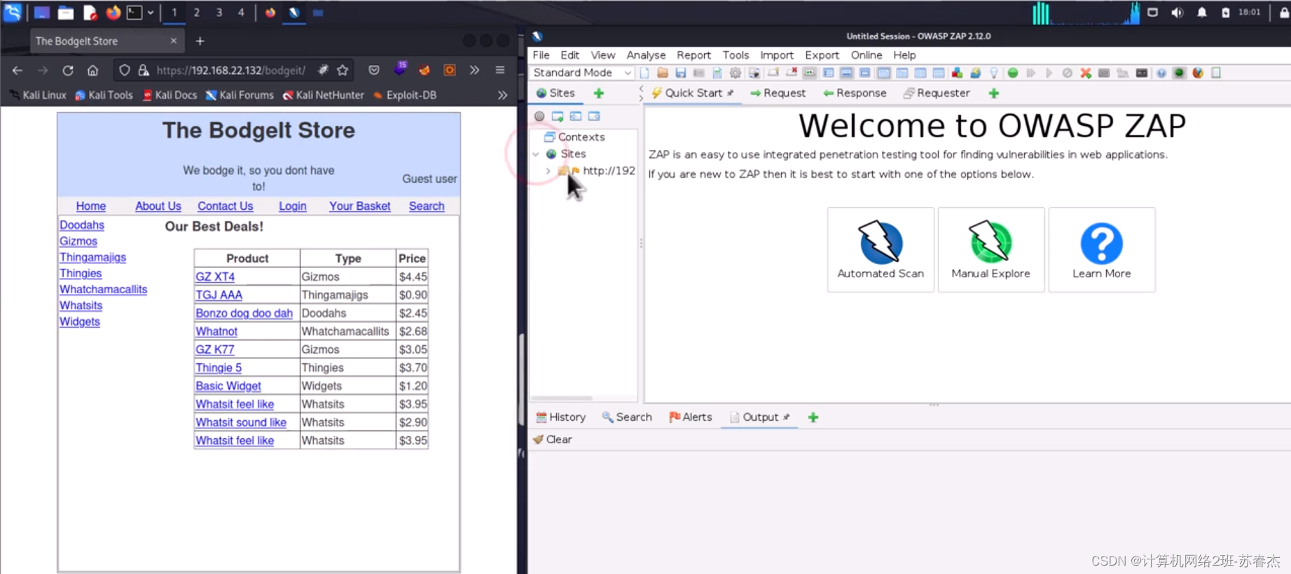 使用ZAP进行web应用爬行与安全分析-CSDN博客