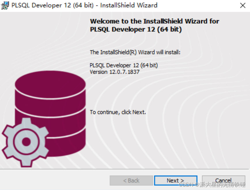 派大星PLSQL的安装指南_plsql安装-CSDN博客