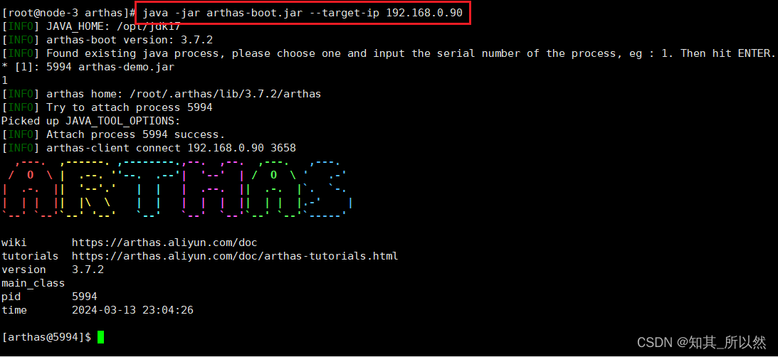 Java诊断工具--Arthas安装和基本使用_java 安装arths-CSDN博客
