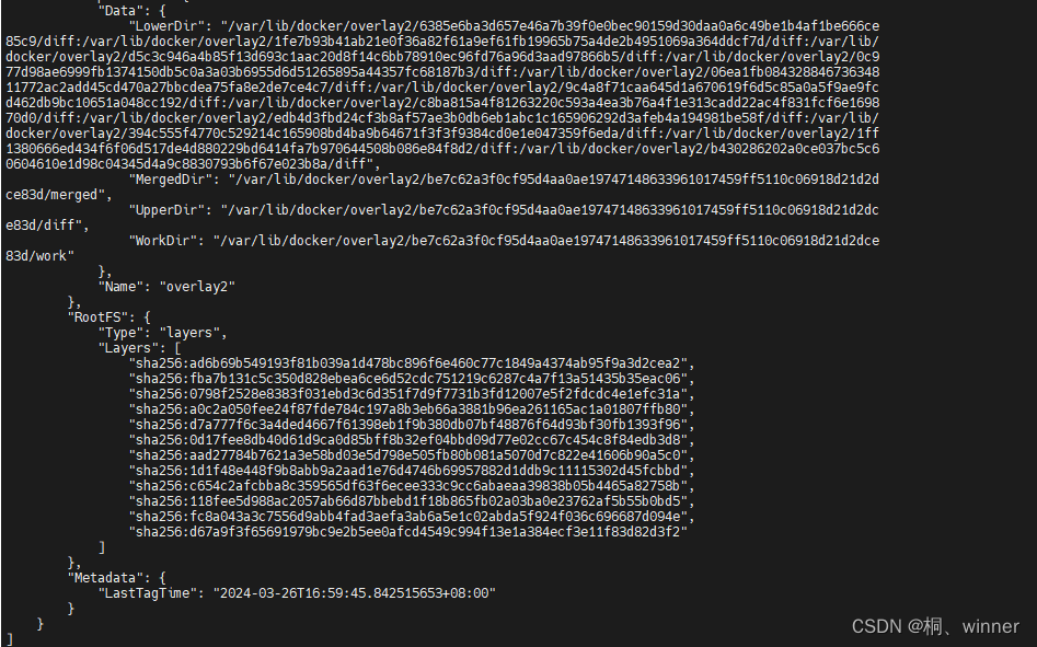 docker学习笔记 四-----docker基本使用方法_docker search-CSDN博客