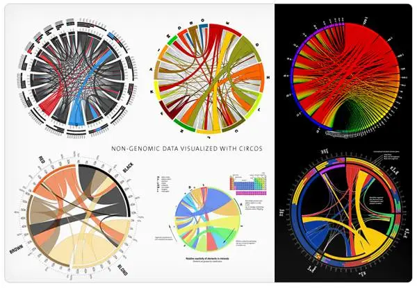 CIRCOS圈图绘制 - circos安装-CSDN博客