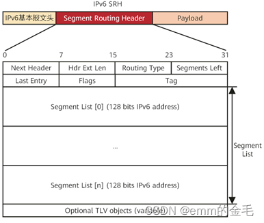 SRv6 报文转发_srv6报文格式-CSDN博客