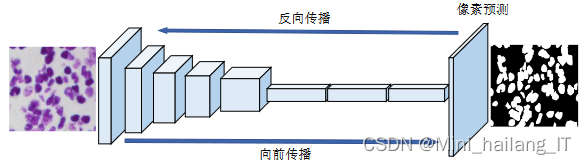 毕业设计：基于卷积神经网络的病理细胞图像分割系统 人工智能 算法 Pythoncnn病理切片分析 实例python Csdn博客