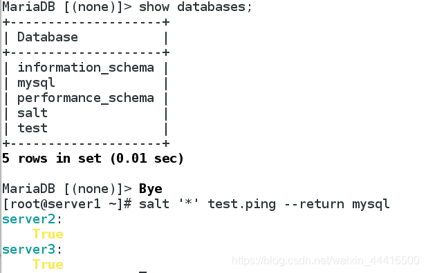 SaltStack远程执行之结果返回mysql存储_saltstack+远程执行返回数据库-CSDN博客