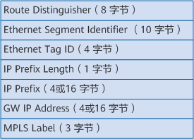 1万字 20张图带你详解EVPN-CSDN博客