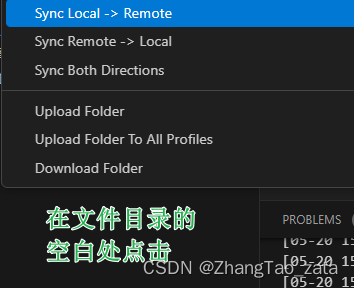 【vscode SFTP】远程服务器开发，本地同步_vscode ftp 远程开发-CSDN博客