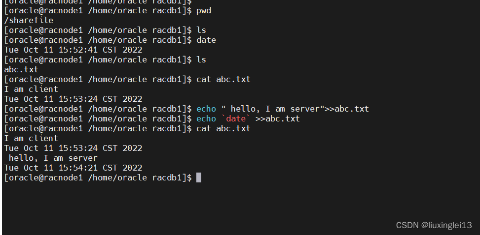 Linux 下创建NFS共享目录_linux两台服务器共享目录-CSDN博客