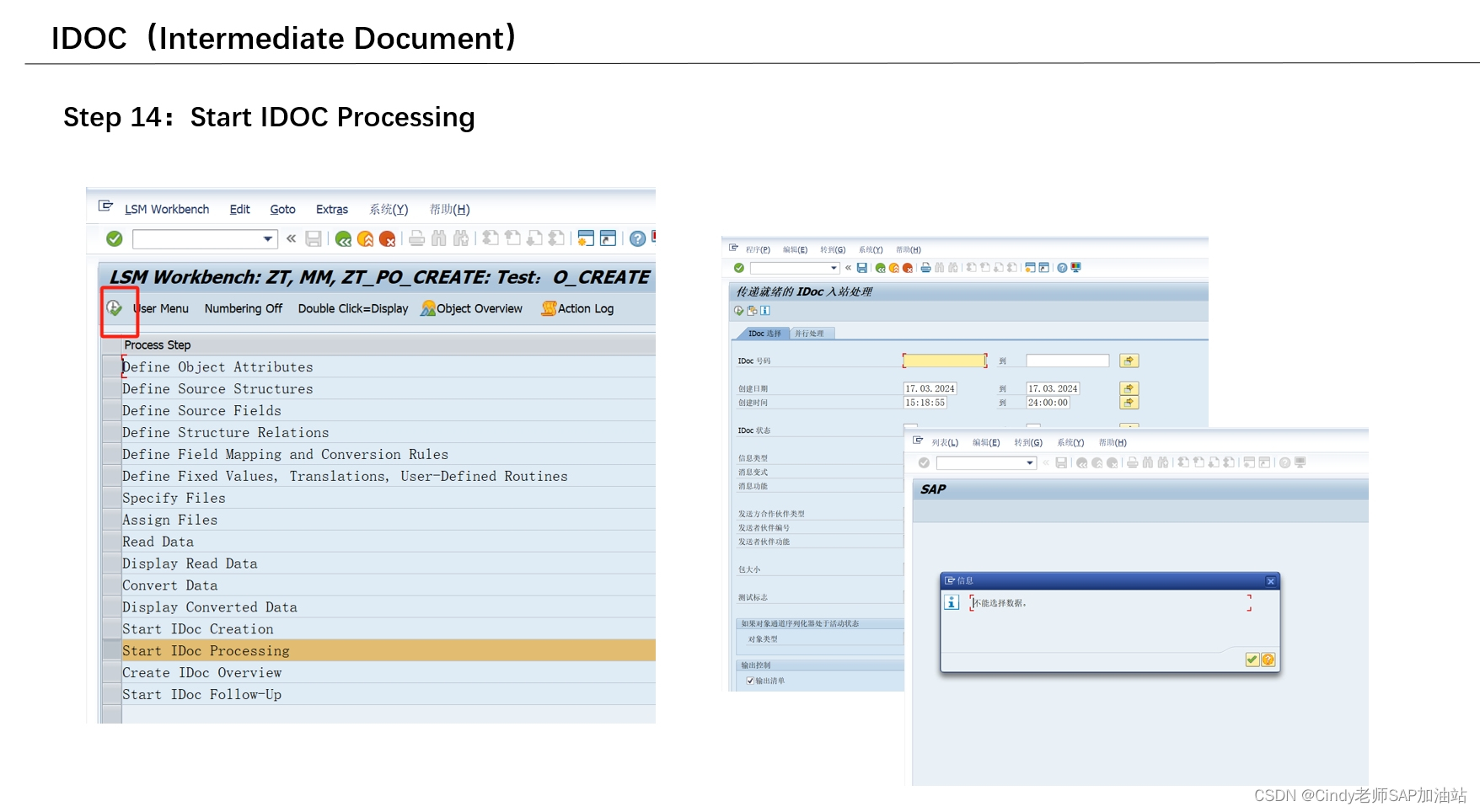 SAP LSMW功能展示4-IDOC-IntermediateDocument_sap lsmw 4个选项的作用-CSDN博客