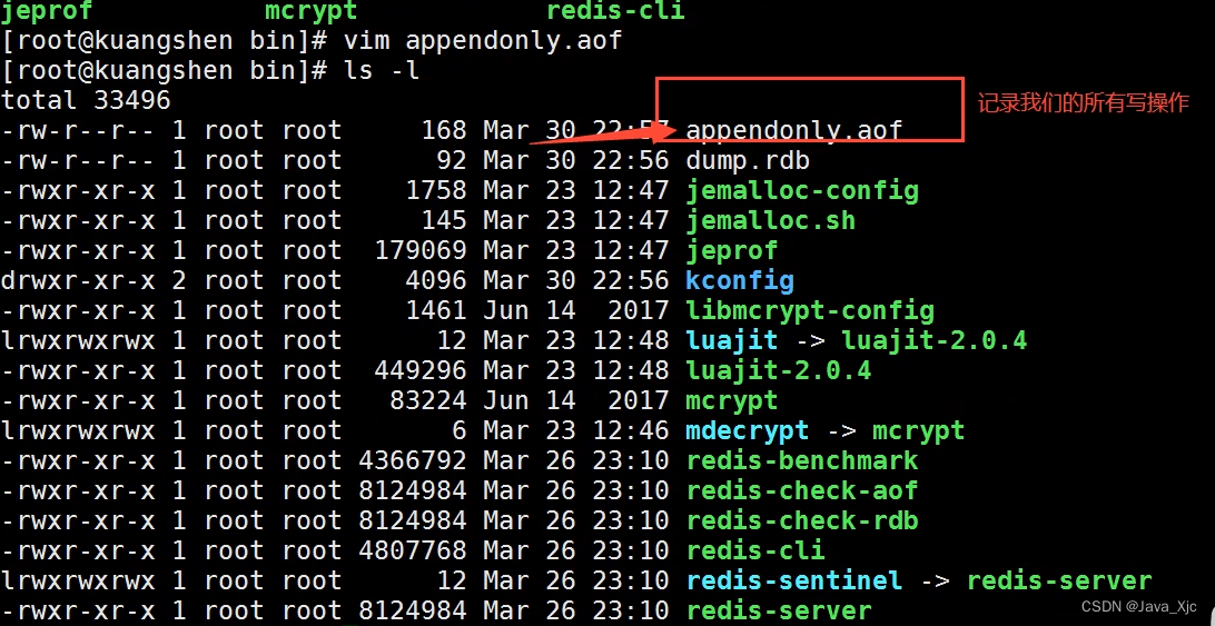 Redis 持久化之AOF操作_java redis aof-CSDN博客