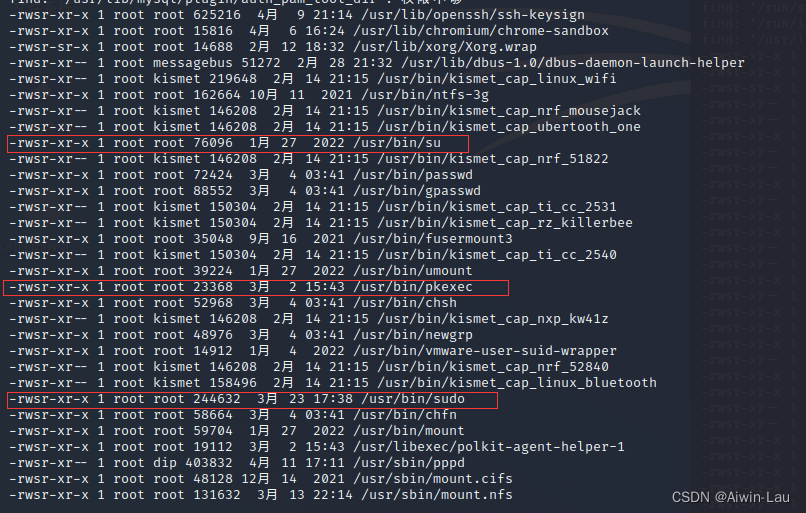 Linux提权技巧-CSDN博客