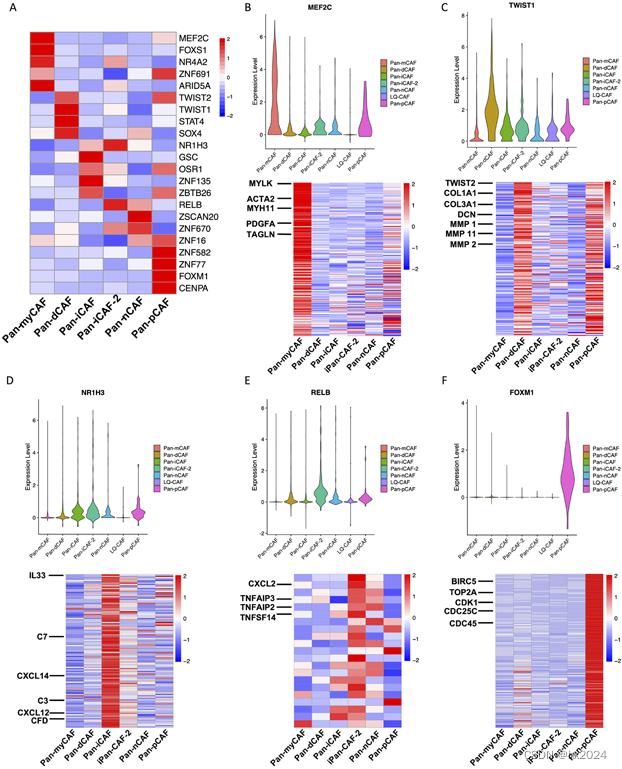 肿瘤相关成纤维细胞分型及单细胞深入研究（文献）_pancaf-CSDN博客