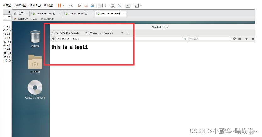 web缓存—Squid代理服务-CSDN博客
