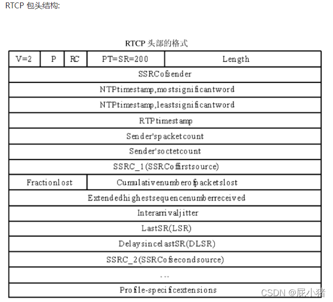 RTP与RTCP协议详解：实时传输与控制-CSDN博客