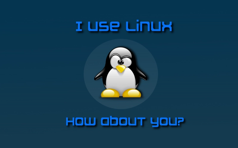 Linux查端口占用的几种方式_linux 查看pid占用的端口-CSDN博客