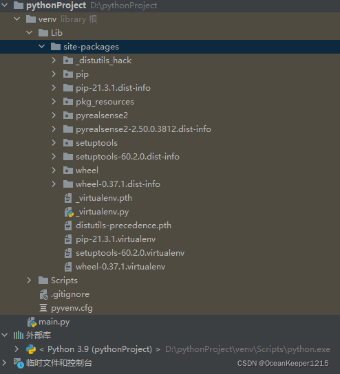 inert realsense摄像头 Windows系统 使用python开发_intel realsense windows使用-CSDN博客