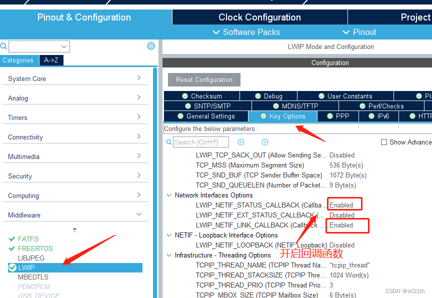 STM32CubeMX 配置LWIP和FREERTOS踩坑_stm32cubemx lwip platform set-CSDN博客