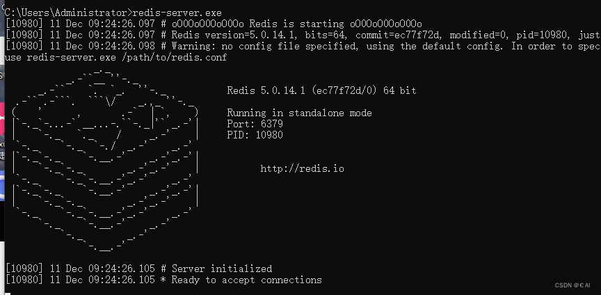 Liunx系统安装Redis_redis免安装linux-CSDN博客