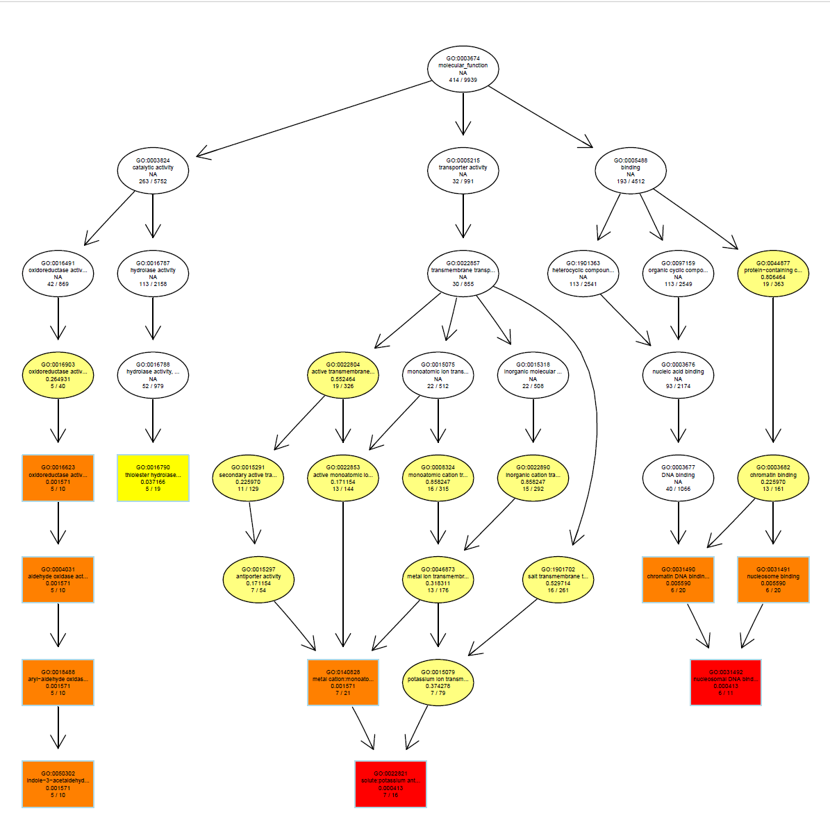 模式植物构建orgDb数据库 | 以org.Slycompersicum.eg.db为例_org.ljaponicusr.eg.db-CSDN博客