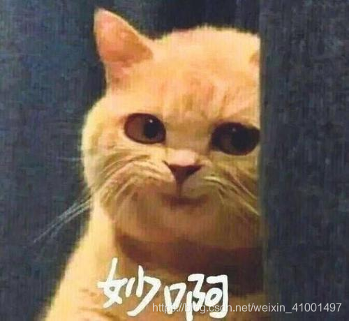 Qt 记一次文件传输引发的各种问题【readLine()的使用/缓冲区的flush()刷新机制】_qt flush-CSDN博客