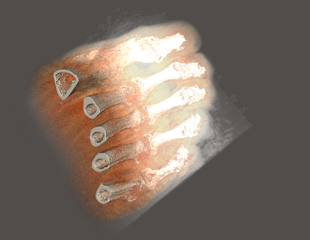 JS版生成MR模型-CSDN博客