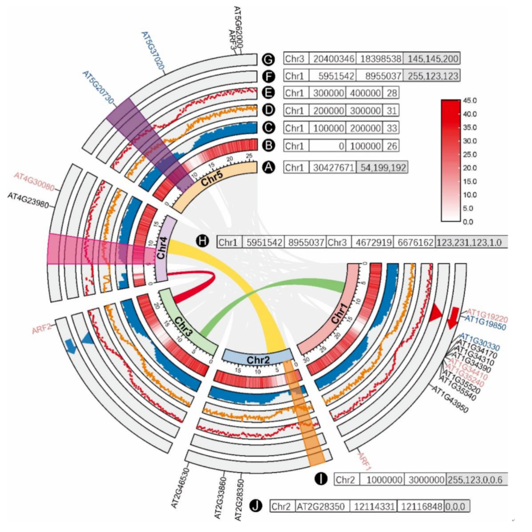 跟着iMeta学做图｜用ggClusterNet绘制共现网络（Co-occurrence Network）-CSDN博客