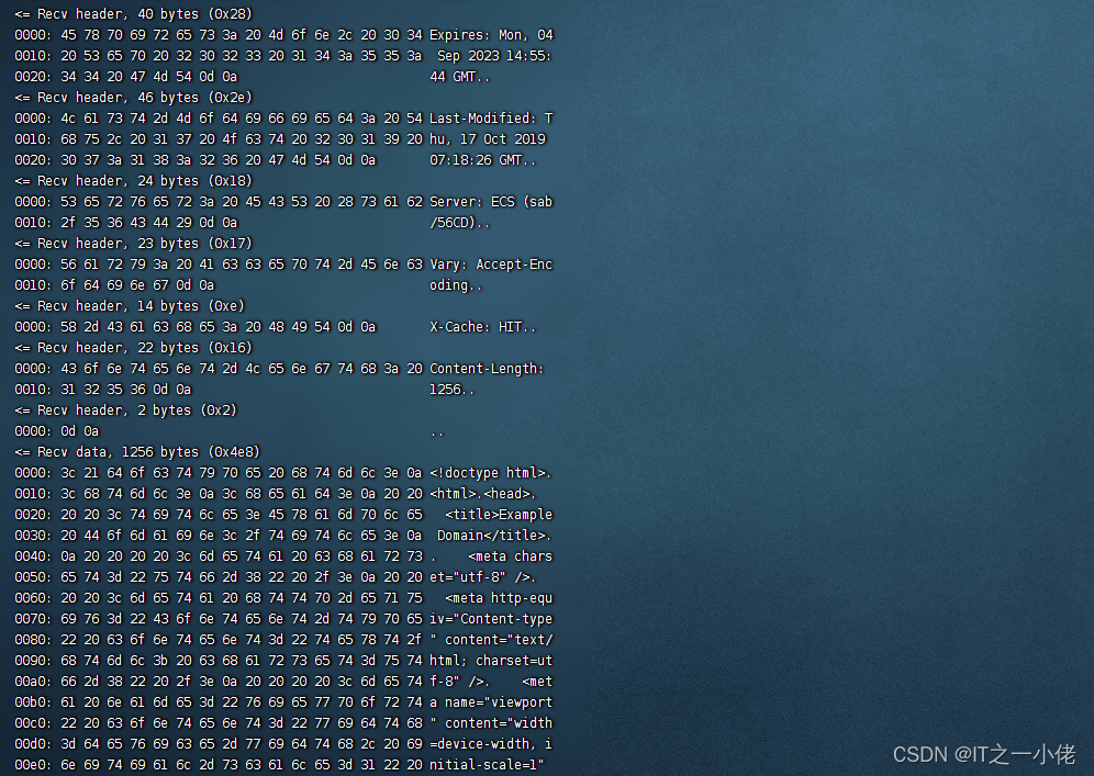 Linux系统中curl命令用法详解_linux curl-CSDN博客
