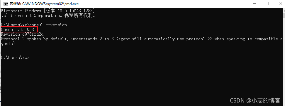 window10环境下载、安装并访问consul具体步骤（图解版）_windows10安装springcloudconsul-CSDN博客