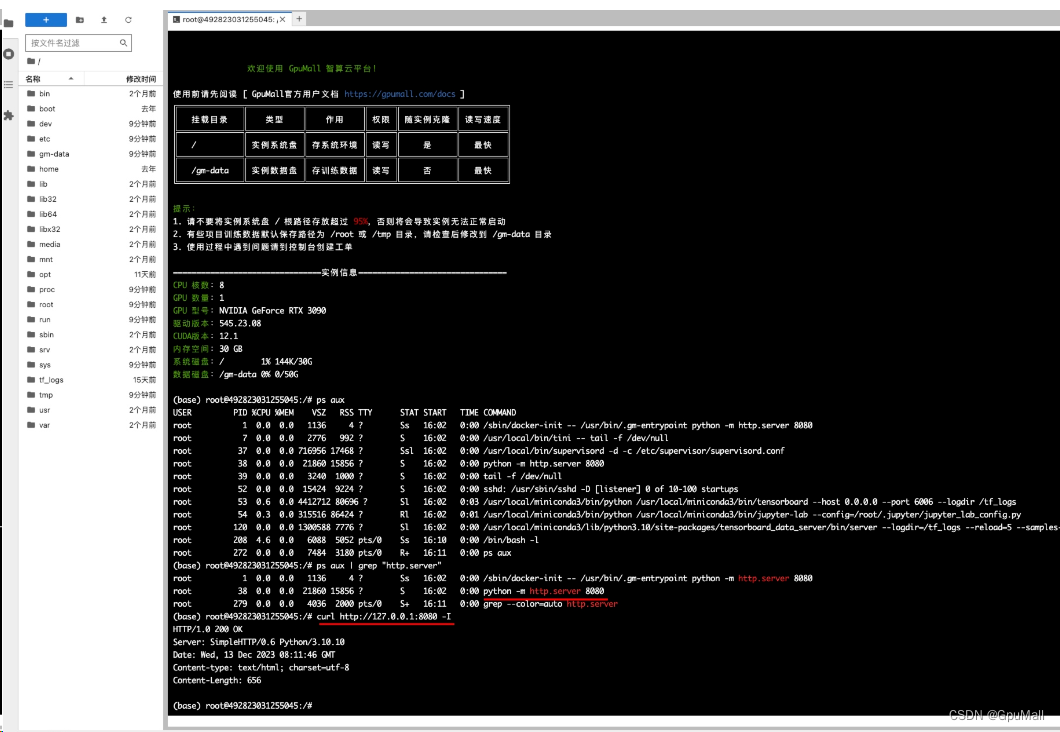 训练须知：如何在实例启动时拉起任务（GpuMall云算力）_如何拉起一个实例-CSDN博客