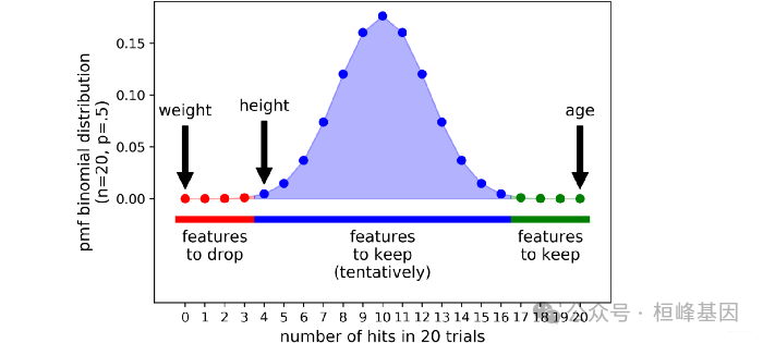 MachineLearning 30. 机器学习之特征选择森林之神 (Boruta)-CSDN博客