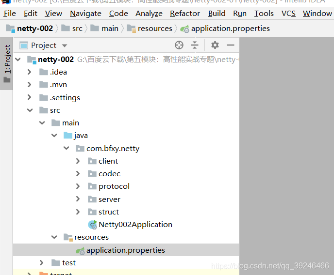使用netty自定义协议_bfxy-CSDN博客
