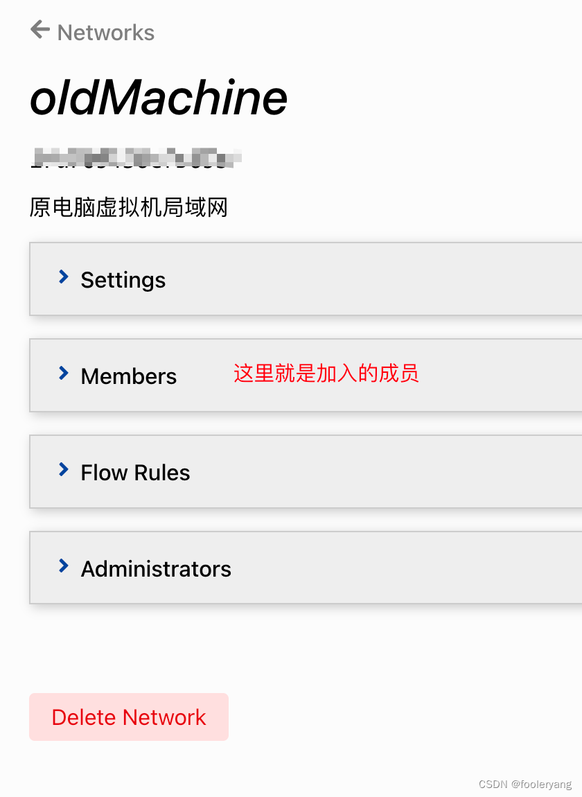 zerotier使用_zerotier-cli-CSDN博客