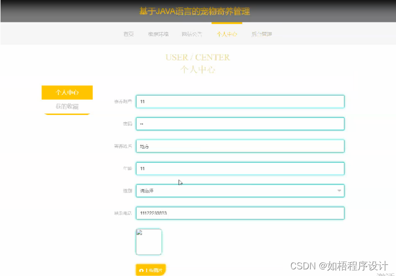 java/php/net/python基于JAVA语言的宠物寄养管理【2024年毕设】-CSDN博客