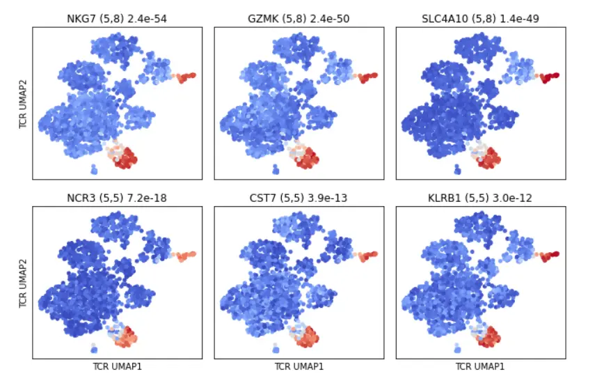 10X单细胞（10X空间转录组）转录组 & VDJ 联合分析（14）之CoNGA_conga tcr-CSDN博客