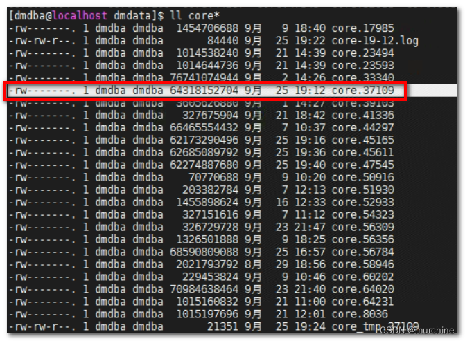 分析DM产生的CORE文件定位故障_gdb core文件定位报错-CSDN博客