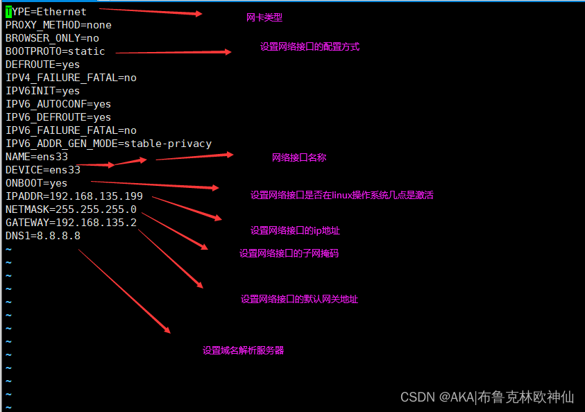 Linux网络配置与诊断：ifconfig, route, netstat, ss命令详解-CSDN博客