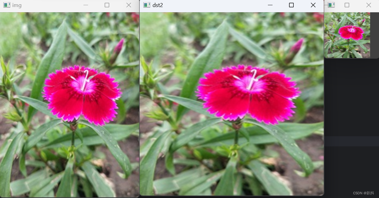 【OpenCV入门】第七部分——图像的几何变换_请描述src,flipcode参数及对应返回结果dst的具体含义。-CSDN博客