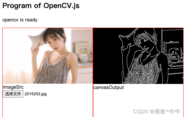 学习opencv.js之基本使用方法（读取，显示，灰度化，边缘检测，特征值点检测）-CSDN博客