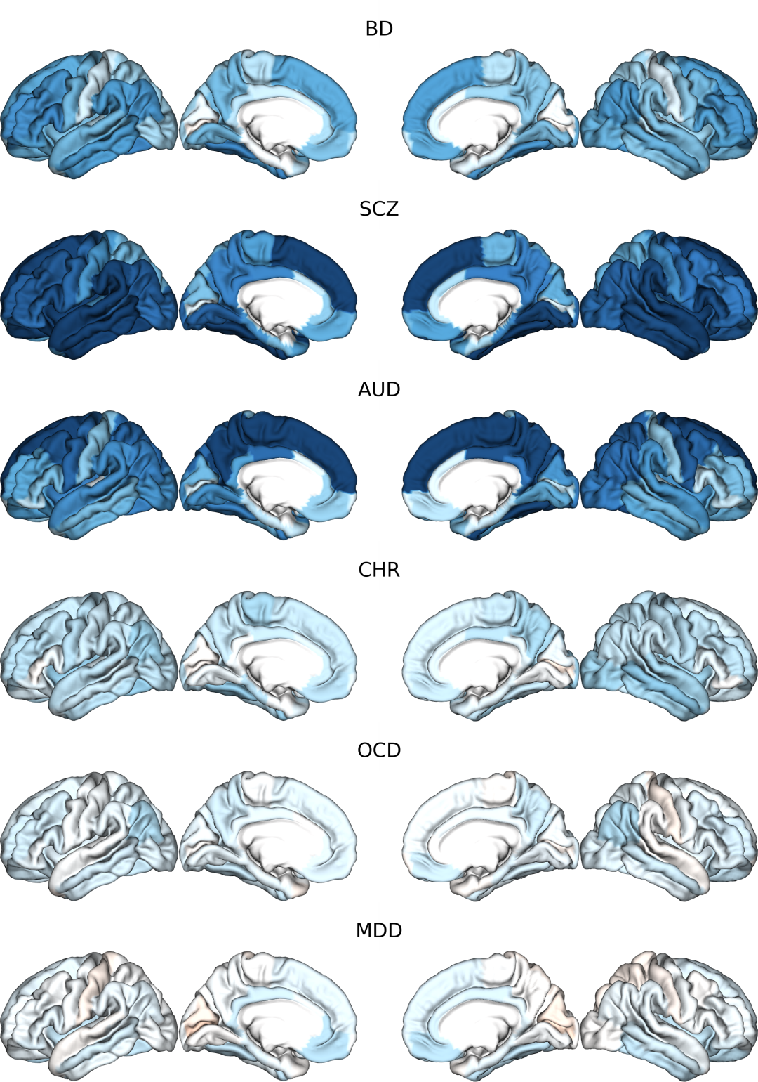 用ENIGMA-toolbox作图-CSDN博客