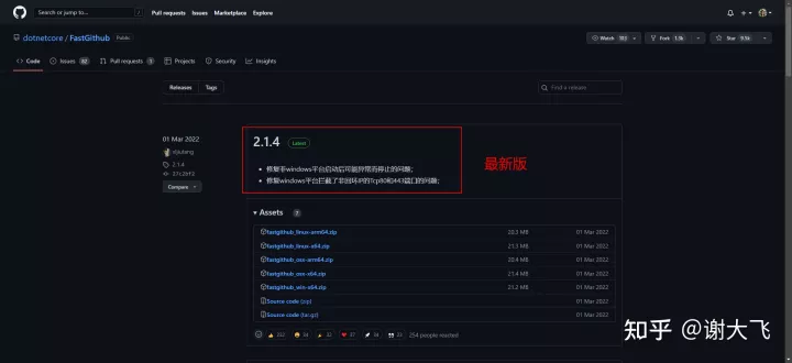 FastGithub下载及使用-CSDN博客