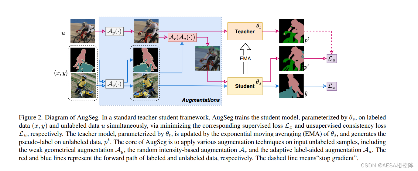 【半监督分割】AugSeg(CVPR2023)-CSDN博客
