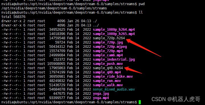 【Deepstream学习】 TX1模块中C++ Sample application 1详细测试及代码逐行讲解_one element ...