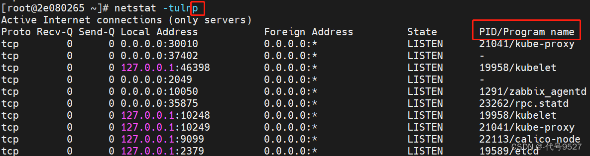 Linux查看网络情况与端口号--netstat_linux 查看tcp连接对端的ip-CSDN博客