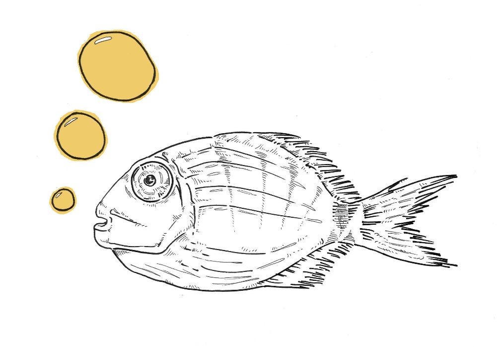 你知道什么是雪花算法SnowFlake吗？-CSDN博客