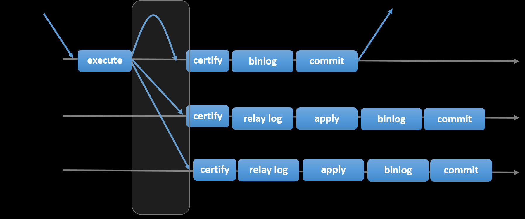 MySQL Group Replication-CSDN博客