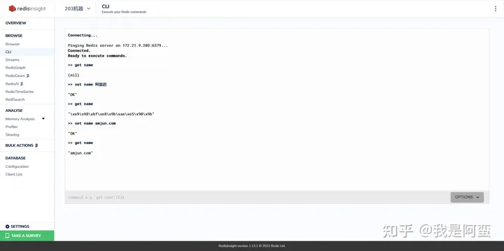 Docker 安装 Redis 和可视化工具 Redisinsightredisinsight Docker Csdn博客
