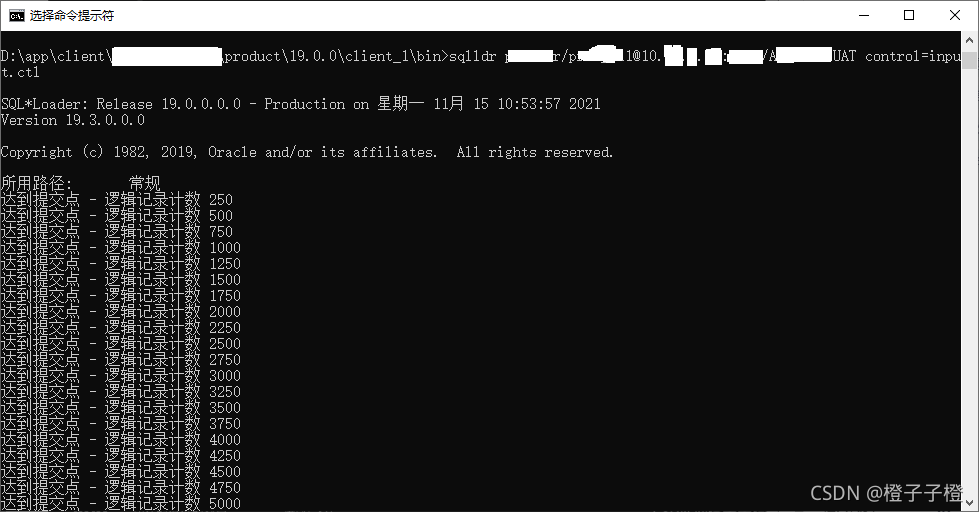oracle sqlldr入门使用_sqlldr在哪里执行-CSDN博客