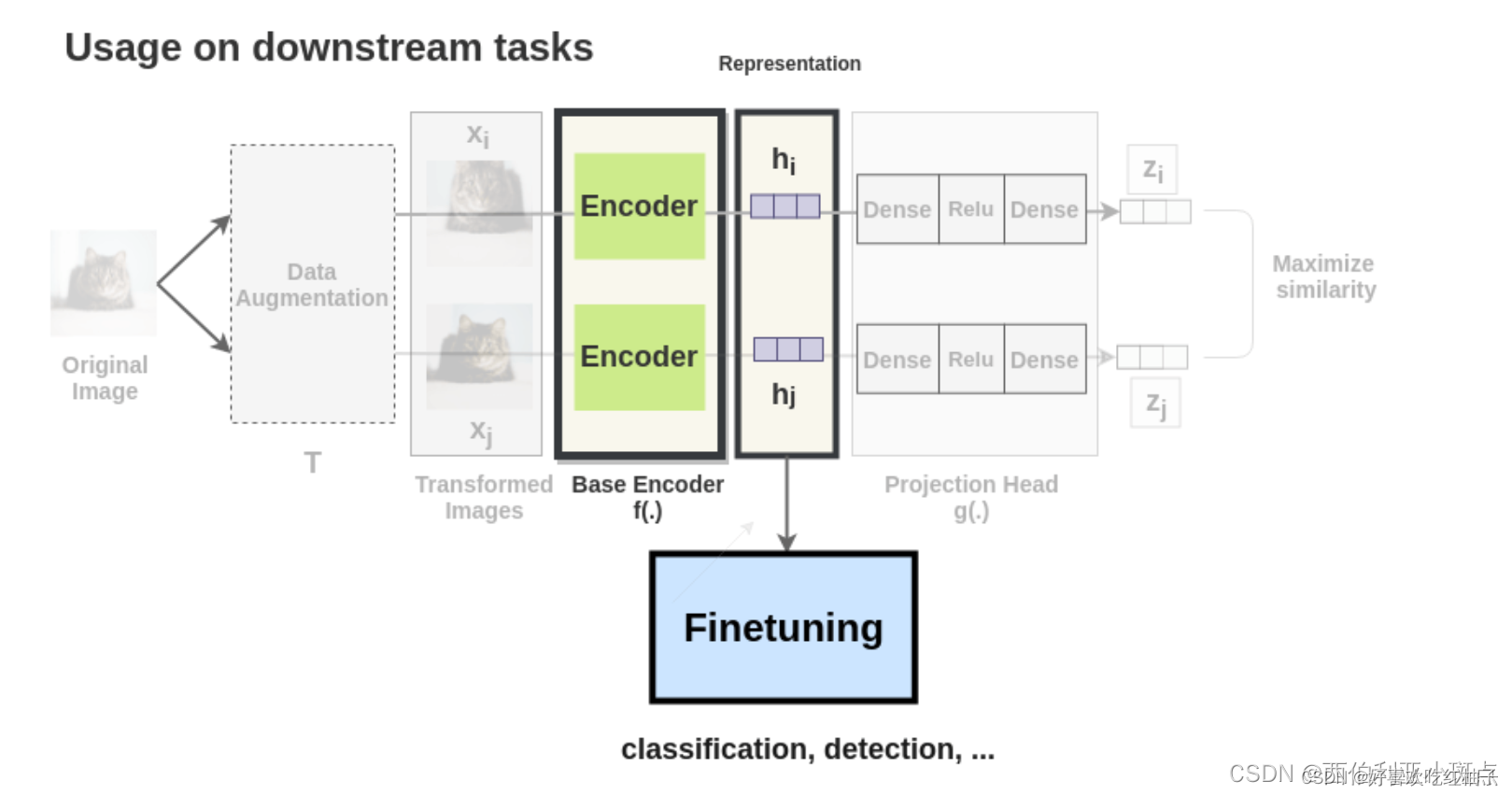 使用自监督对比学习模型SimCLR完成图像分类任务：pytorch代码详解_simclr代码-CSDN博客