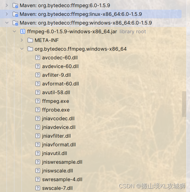 javacv ffmpeg使用笔记 (补充中...)-CSDN博客
