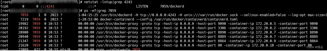 【Docker|漏洞】Docker api未授权导致rce_docker api rce-CSDN博客